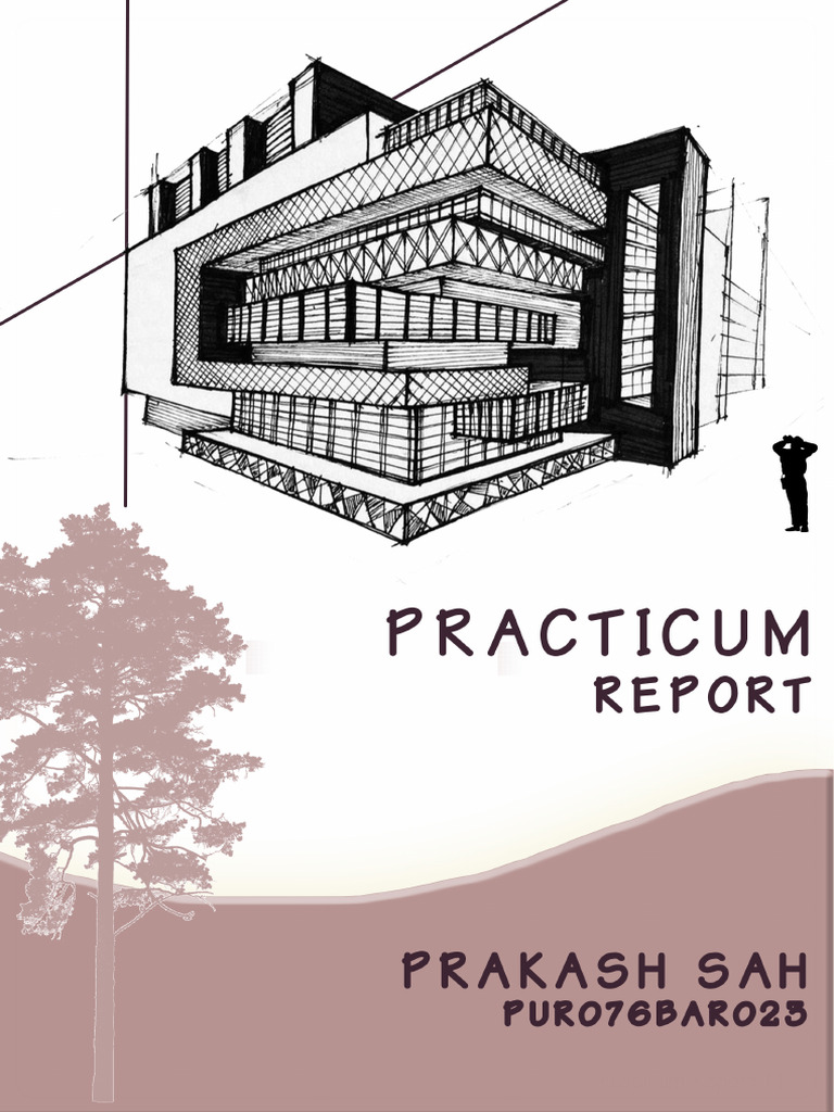 Practicum Final Report | PDF