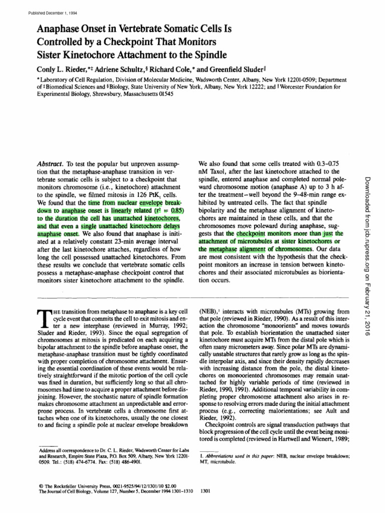 J Cell Biol 1994 Rieder 1301 10 | PDF | Mitosis | Cell Anatomy