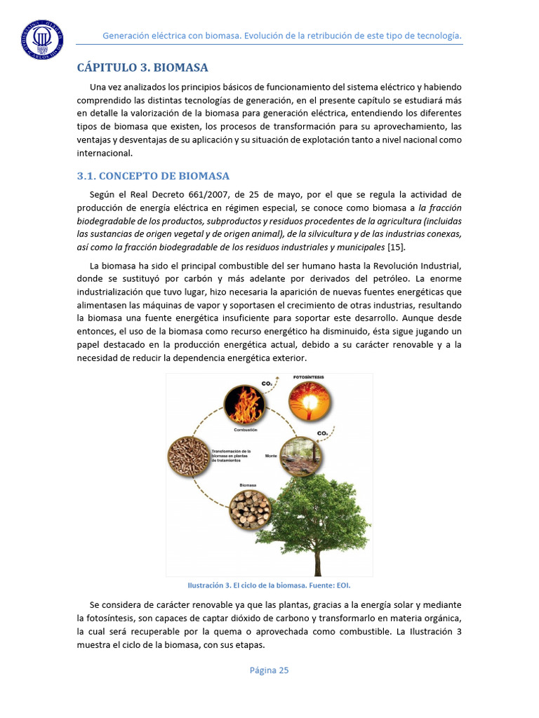 3 Energ Biomasa | PDF | Biomasa | Combustibles