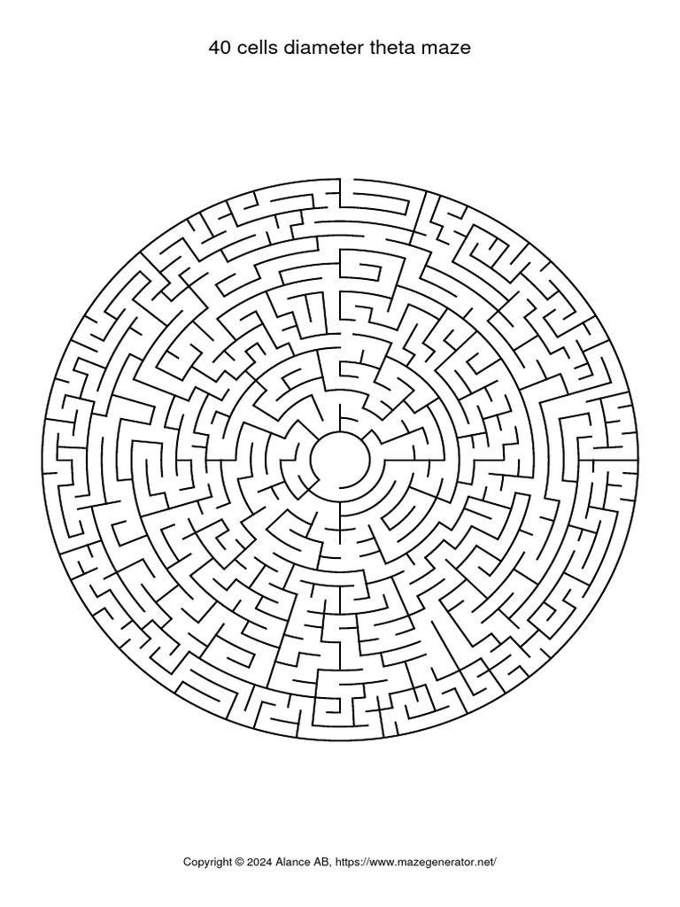 40 Cells Diameter Theta Maze-2 | PDF