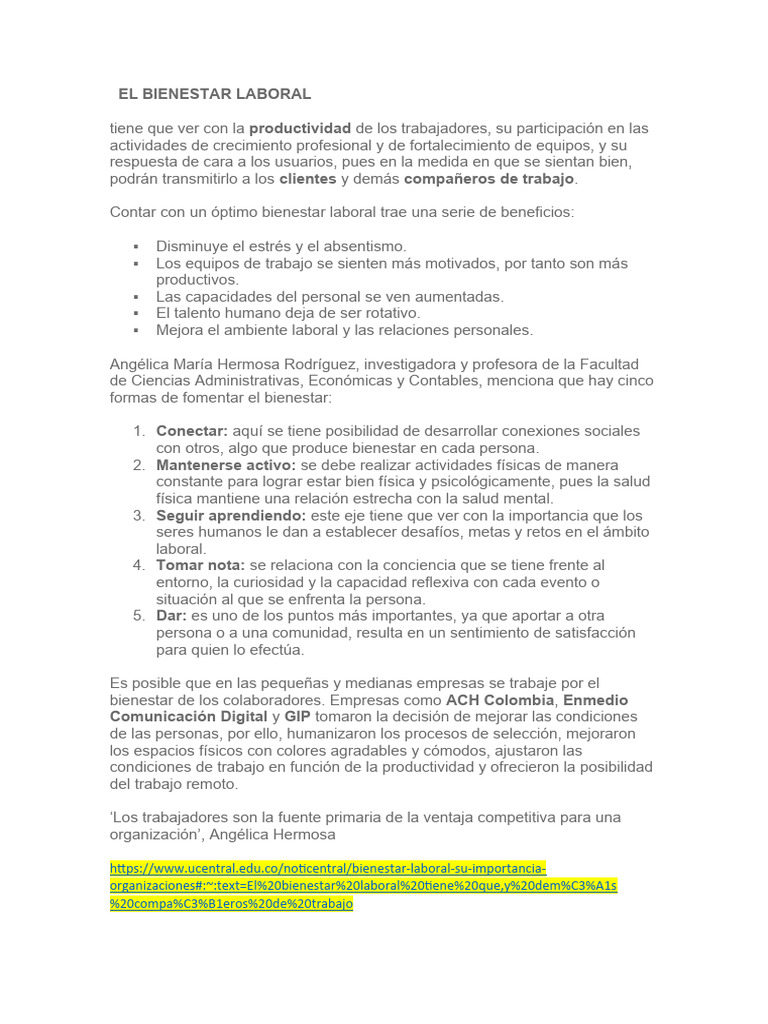 El Bienestar Laboral | PDF | Bienestar | Business