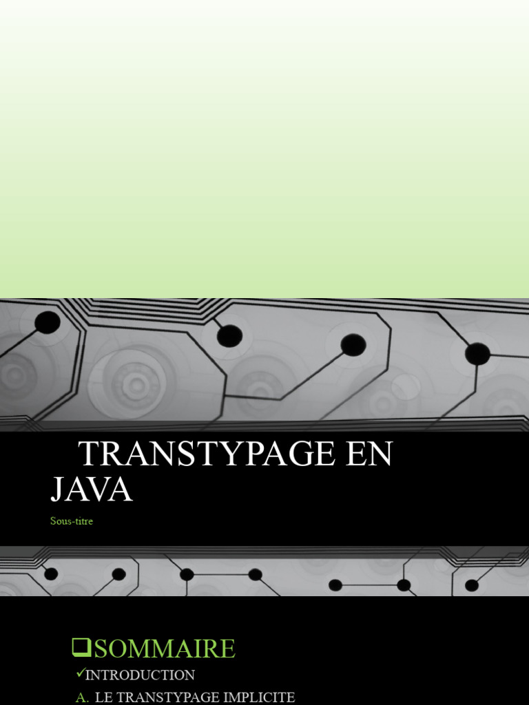Transtypage En Java Pdf Java Langage De Programmation Variable Informatique