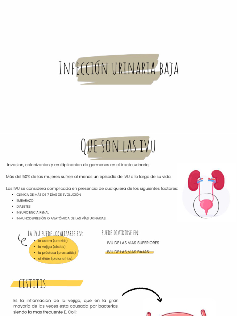 ITU BAJA Final | PDF | Infección del tracto urinario | Medicina