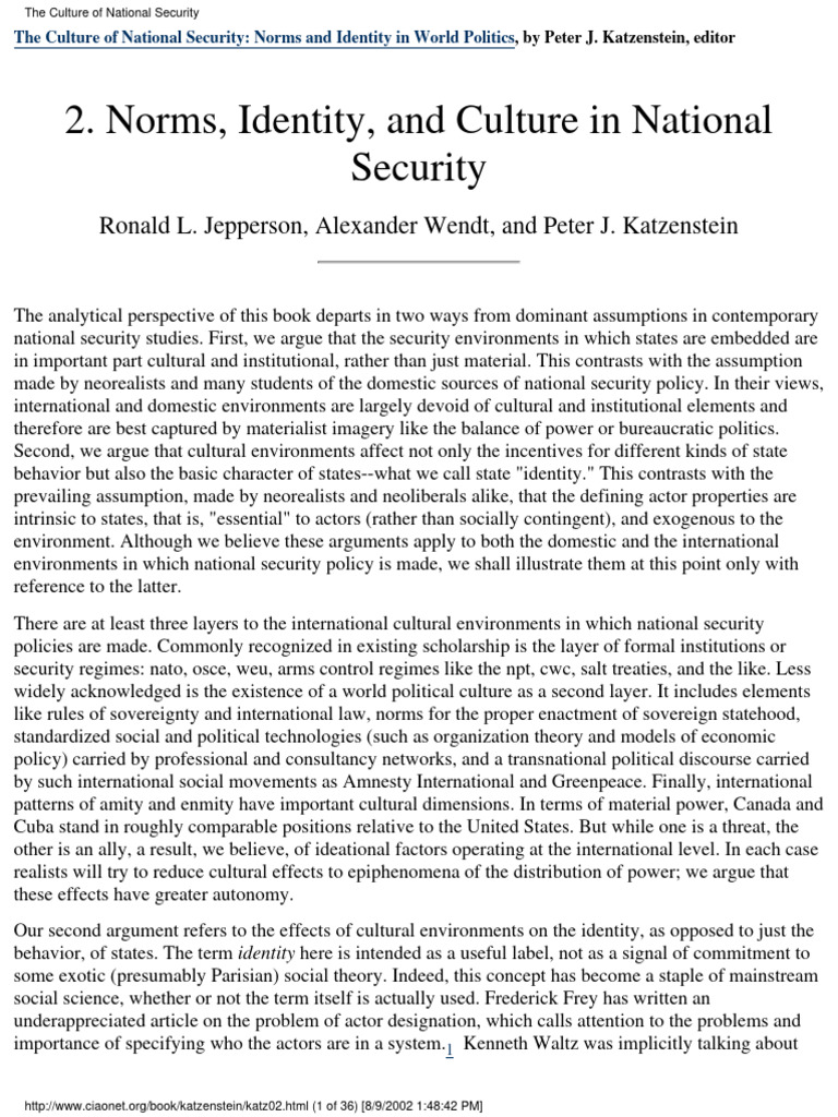 The Culture Of National Security Pdf Institution International