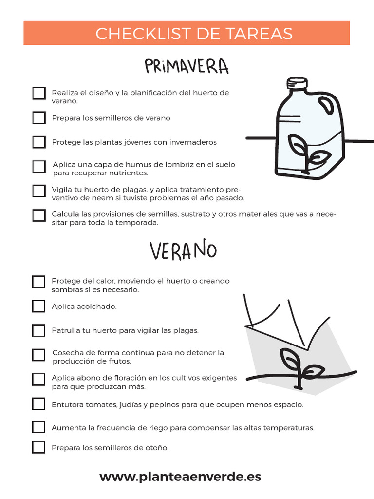 Checklist Anual | PDF