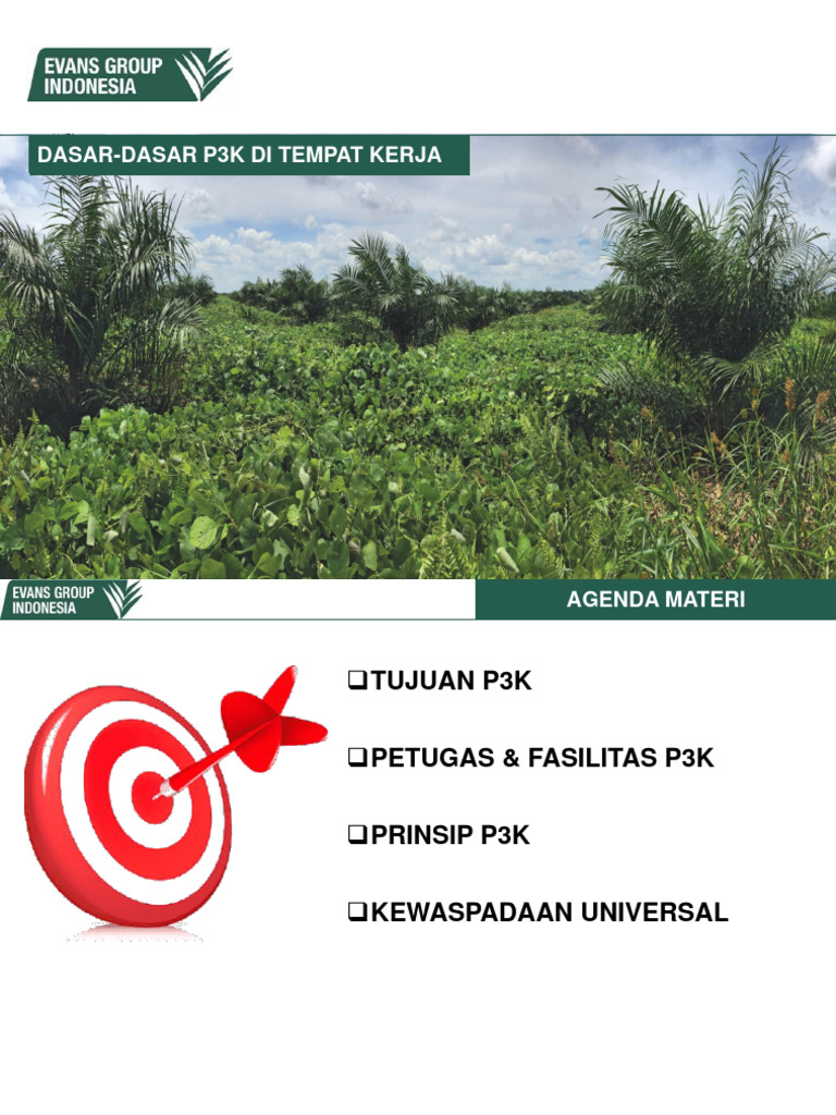 Dasar-Dasar P3K Di Tempat Kerja | PDF