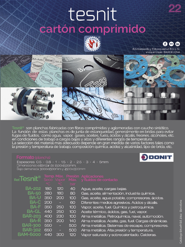 Tesnit Carton Comprimido | PDF