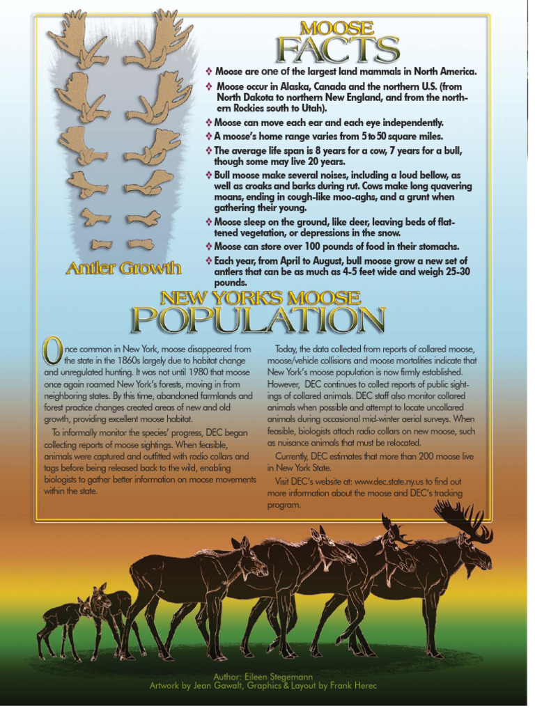 Moose 1 | PDF | Moose | Cattle