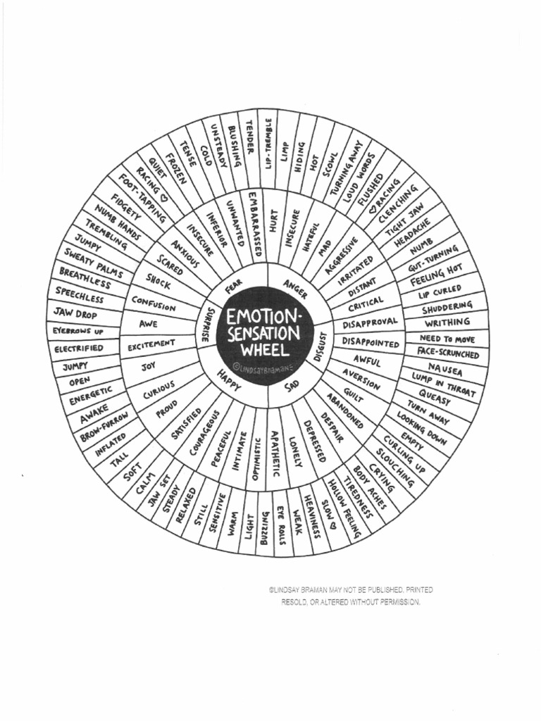 Emotion-Sensation Wheel | PDF