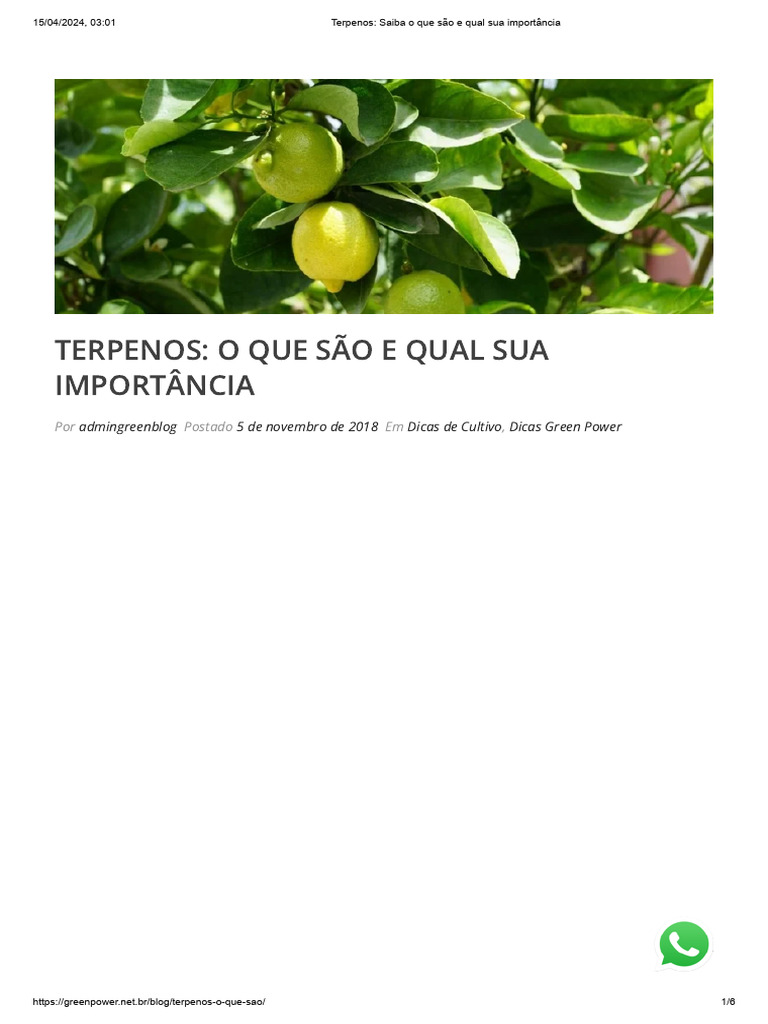 Terpenos - Saiba o Que São e Qual Sua Importância | Download grátis PDF ...