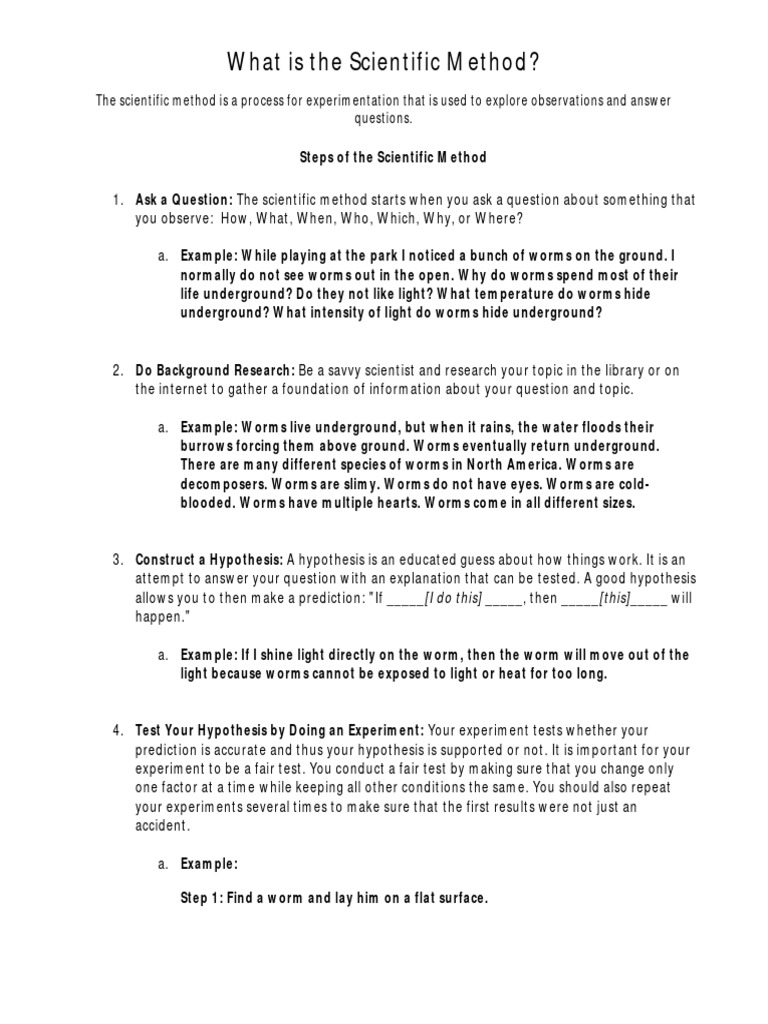 Example of The Scientific Method 1 | PDF | Experiment | Scientific Method