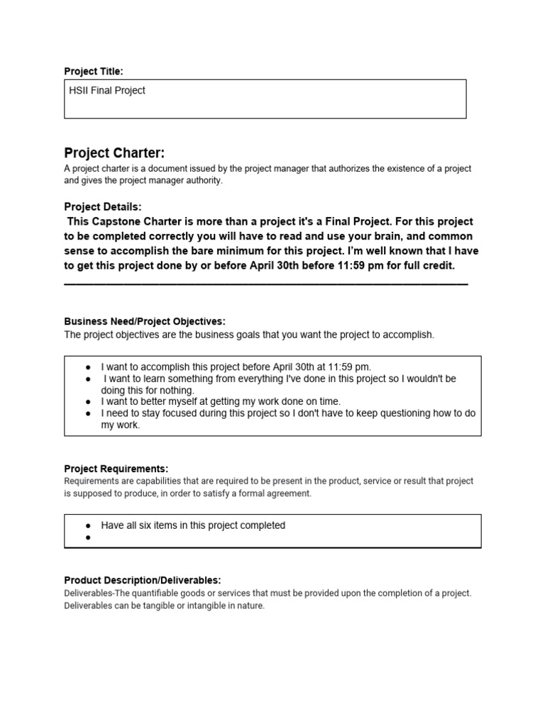 Project Charter | PDF | Project Management | Business