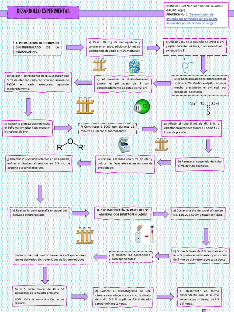 Determinación de Aminoácidos Terminales | PDF | Química | Compuestos ...