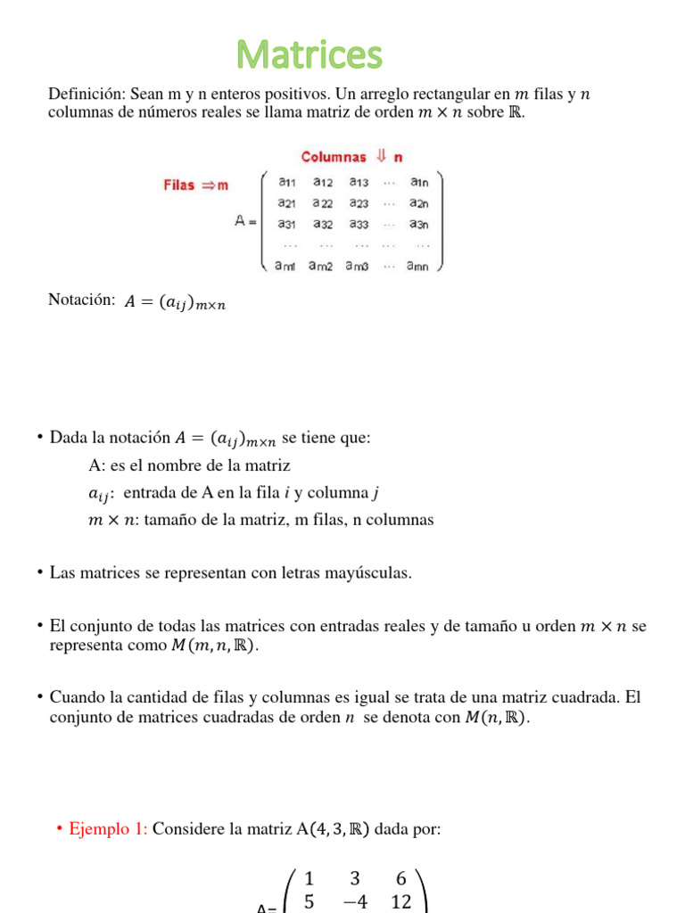 Introducción a las Matrices y Tipos | PDF | Matriz (Matemáticas ...