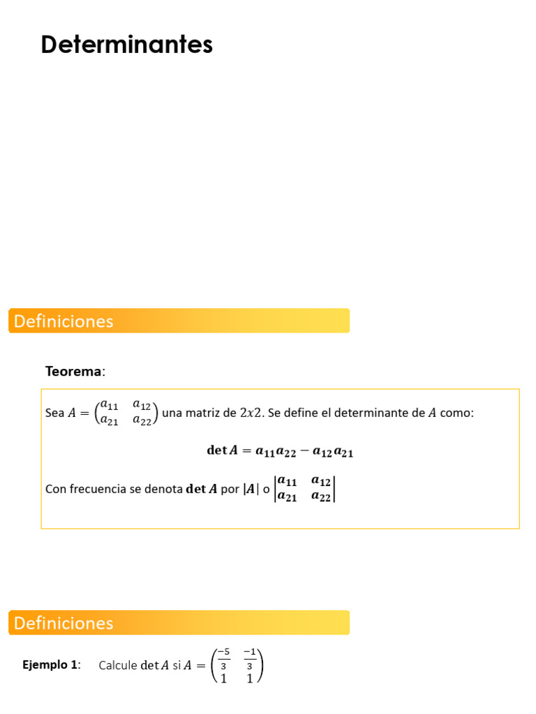 Determinantes de Matrices: Definiciones y Ejemplos | PDF | Determinante ...