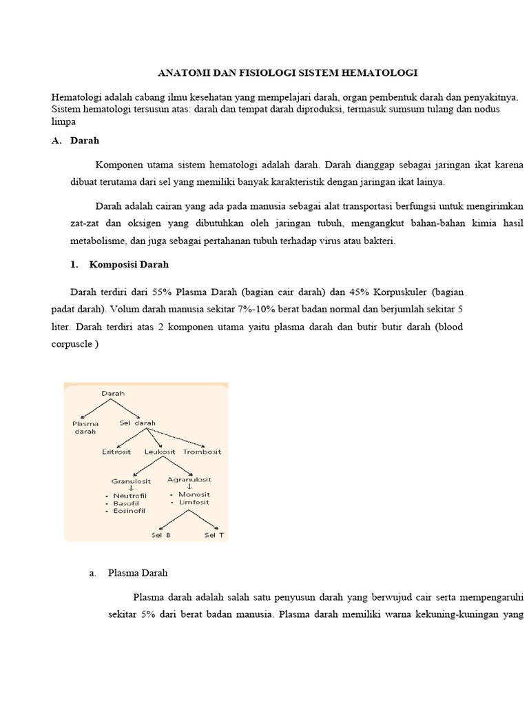 ANATOMI DAN FISIOLOGI SISTEM HEMATOLOGI Lisna | PDF