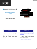 Morfologia Gramineas | PDF | Semente | Raiz
