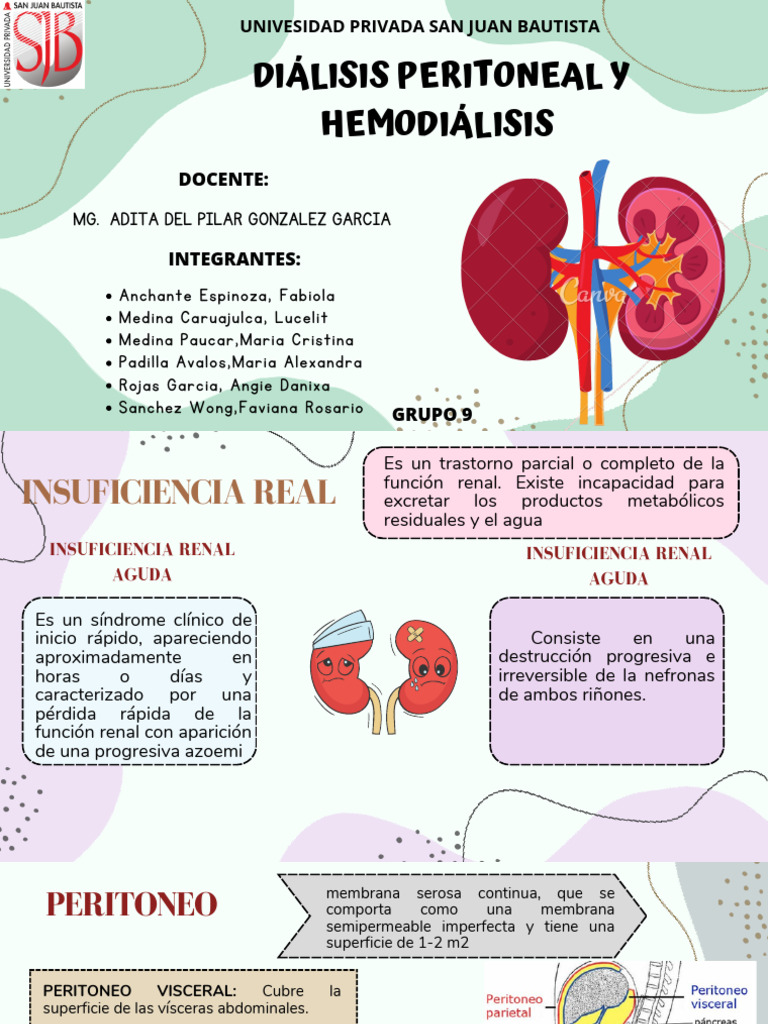 Diálisis Peritoneal Y Hemodiálisis Guía Completa Pdf Hemodiálisis