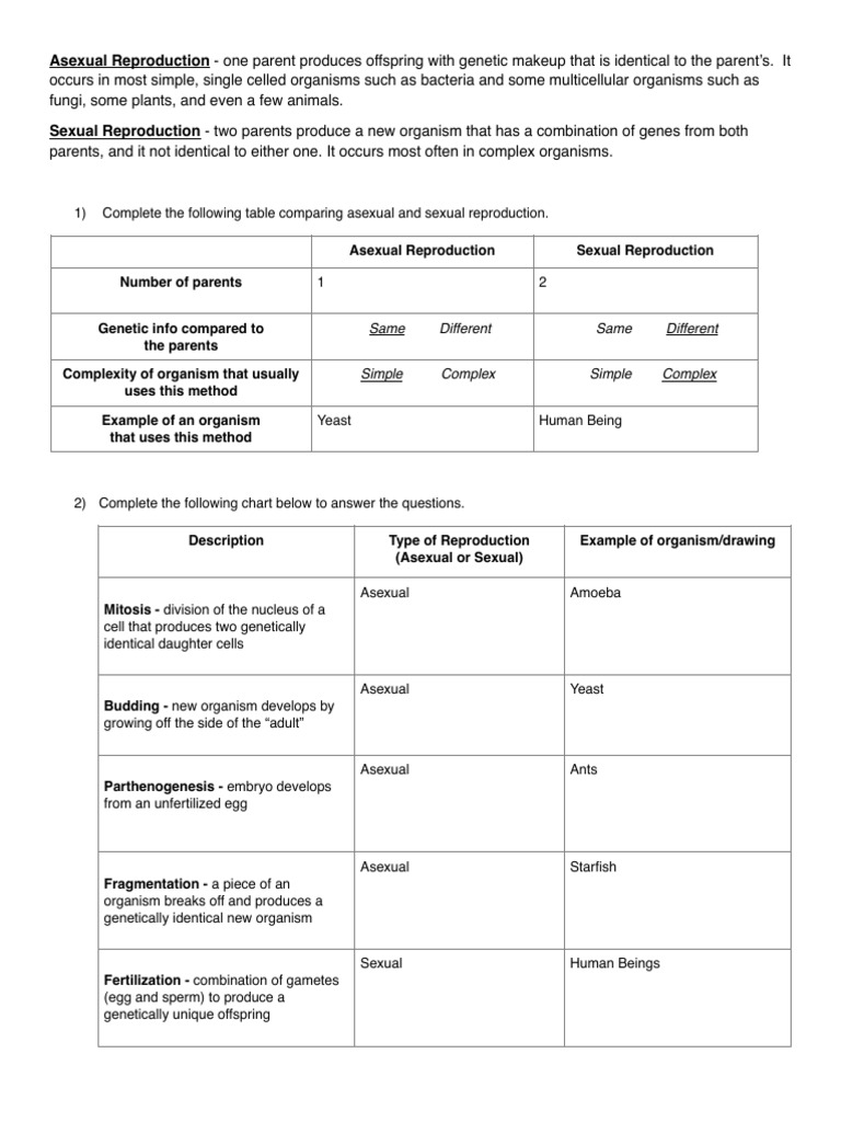 Sexual And Asexual Reproduction Worksheet Pdf Sexual Reproduction Fertilisation