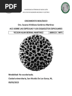 Radiolarios: Taxonomía y Aplicaciones | PDF | Biología Celular | Anatomía