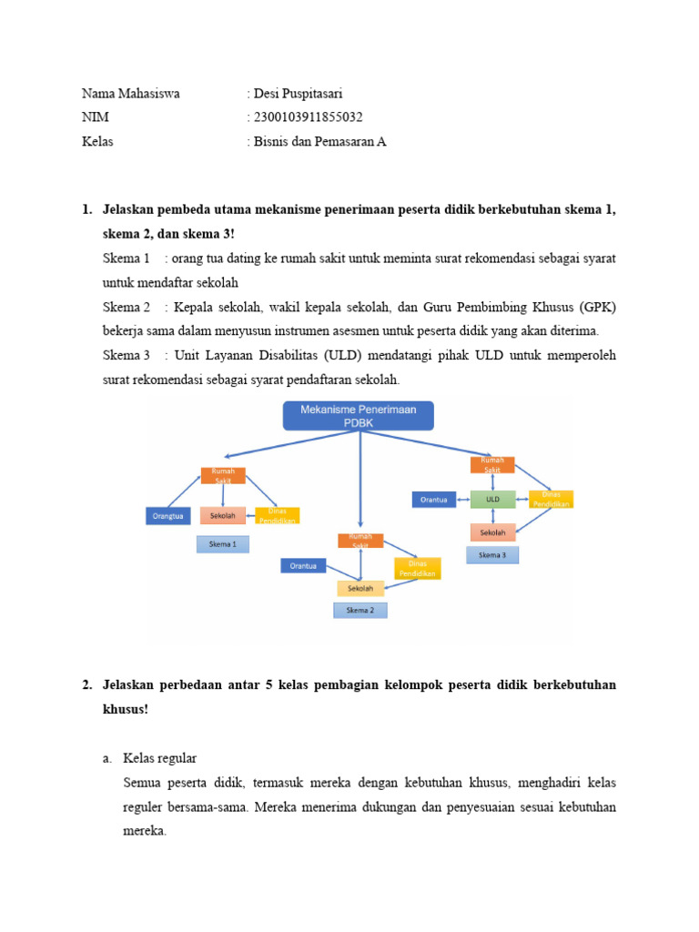 Skema Penerimaan Peserta Didik Inklusif | PDF | Karier & Perkembangan ...