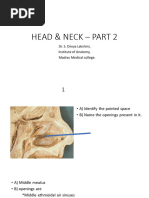 Respiratory System Mnemonics Fixed | PDF