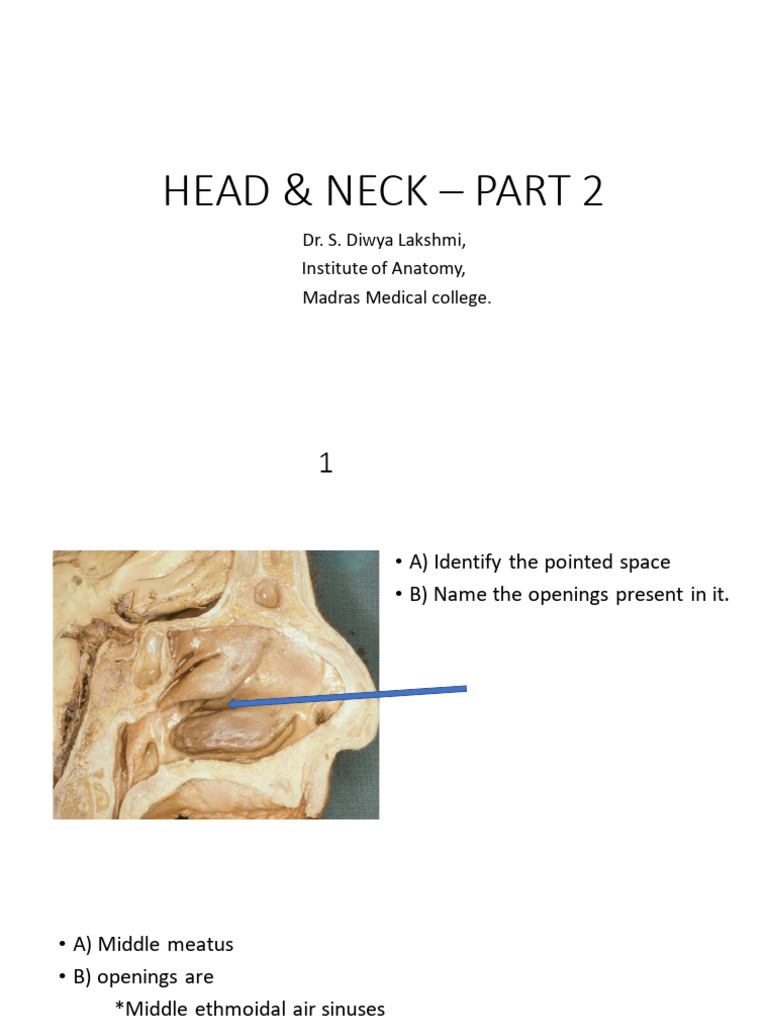 Head & Neck Spotters Pa - 221022 - 230447 | PDF | Tongue | Human Nose