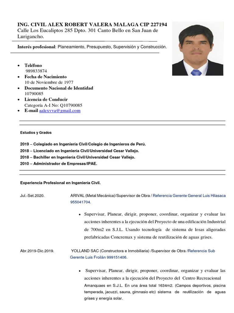 Perfil Profesional de Ingeniero Civil Alex Valera | PDF | Ingeniero ...