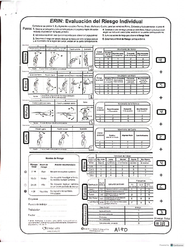 método RULA y ERIN ( aseadores)-2 | PDF