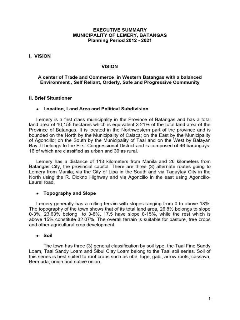 Final Executive Summary Clup | PDF | Flood | Emergency Evacuation