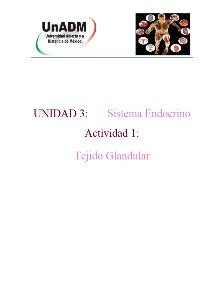 AFI2 - U3 - A2 - Sistema Endocrino | PDF | Sistema endocrino | Sistema urinario