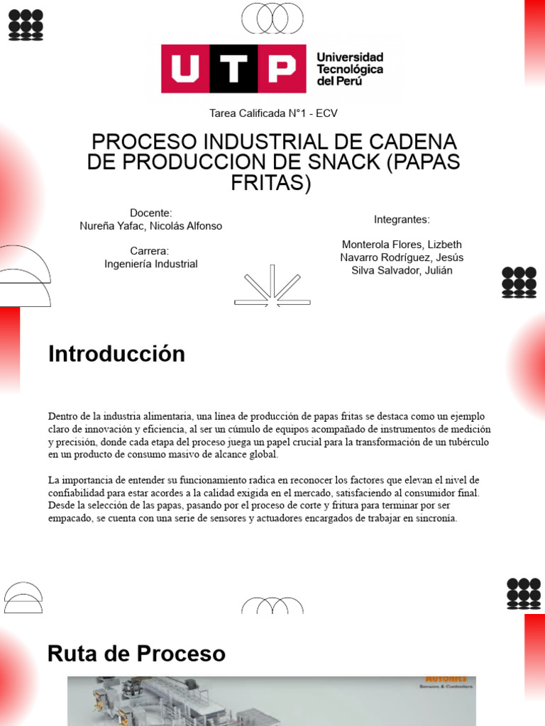 Proceso Industrial de Cadena de Produccion de Snack (Papas Fritas ...