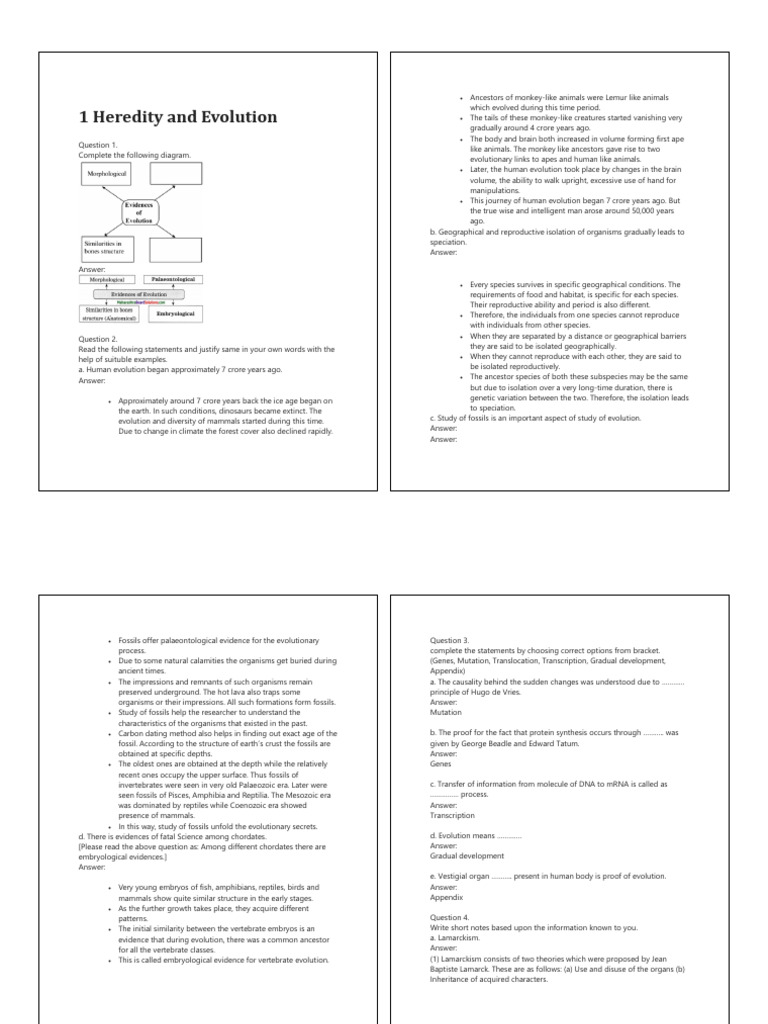 Heredity and Evolution Question Answer - Converted | PDF | Translation ...