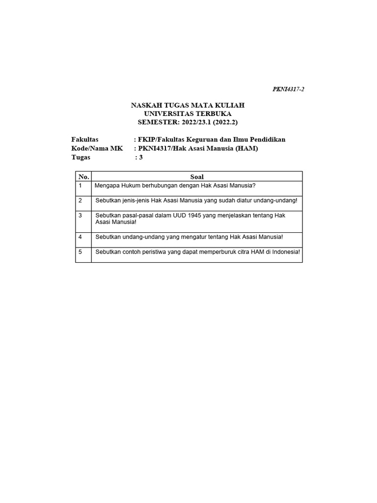 Nur Rahmadani BR Kaban (Hak Asasi Manusia (HAM) | PDF