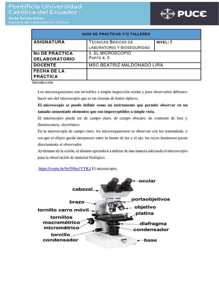 Práctica Nº 4 y 5 El Microscopio | PDF | Microscopio | Óptica