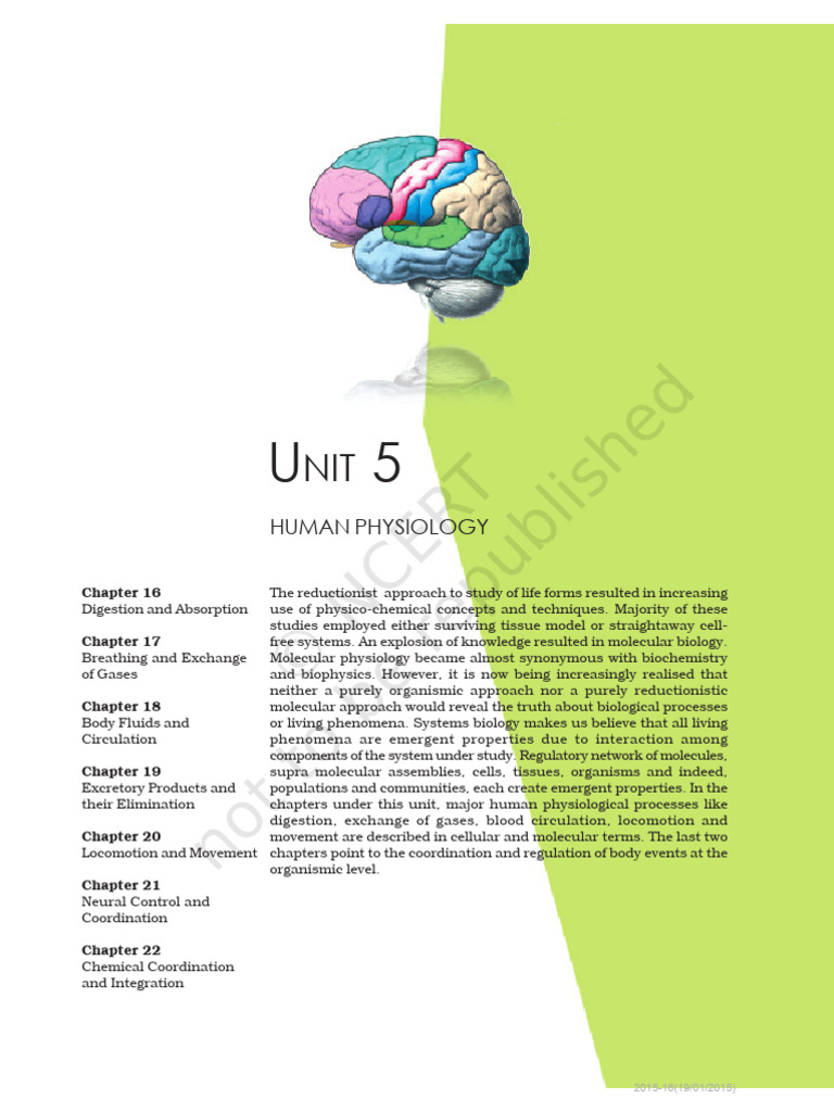 Digestion and Absorption in Humans | PDF | Digestion | Stomach