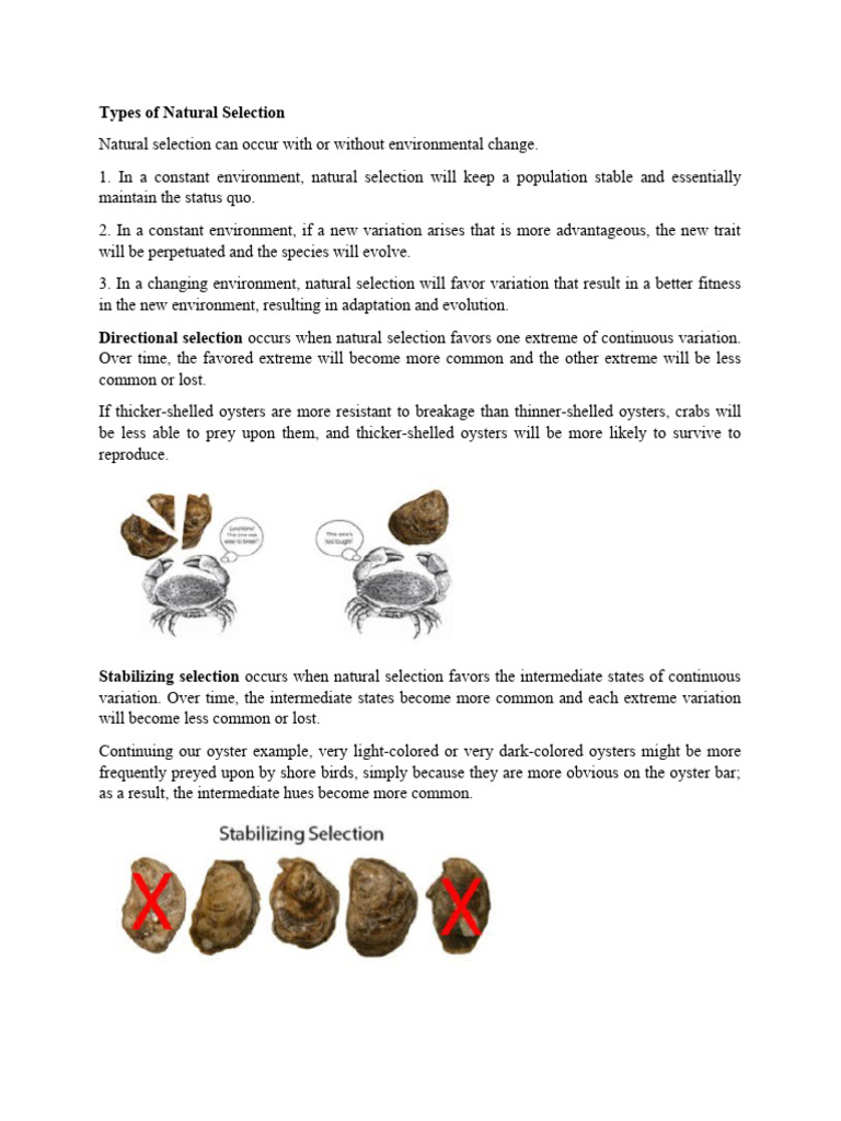Types of Natural Selection | PDF | Natural Selection | Reproduction
