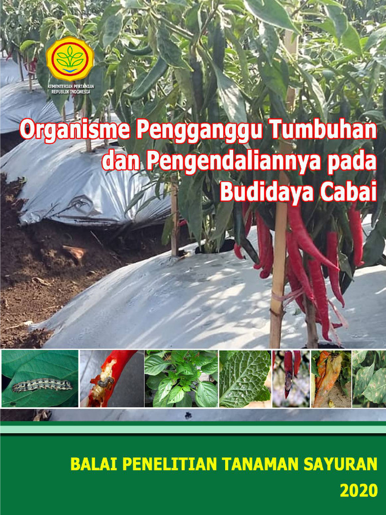 Buku OPT Dan Pengendaliaannya Pada Budidaya Cabai (19 Nov 2020) | PDF | Teknologi & Rekayasa