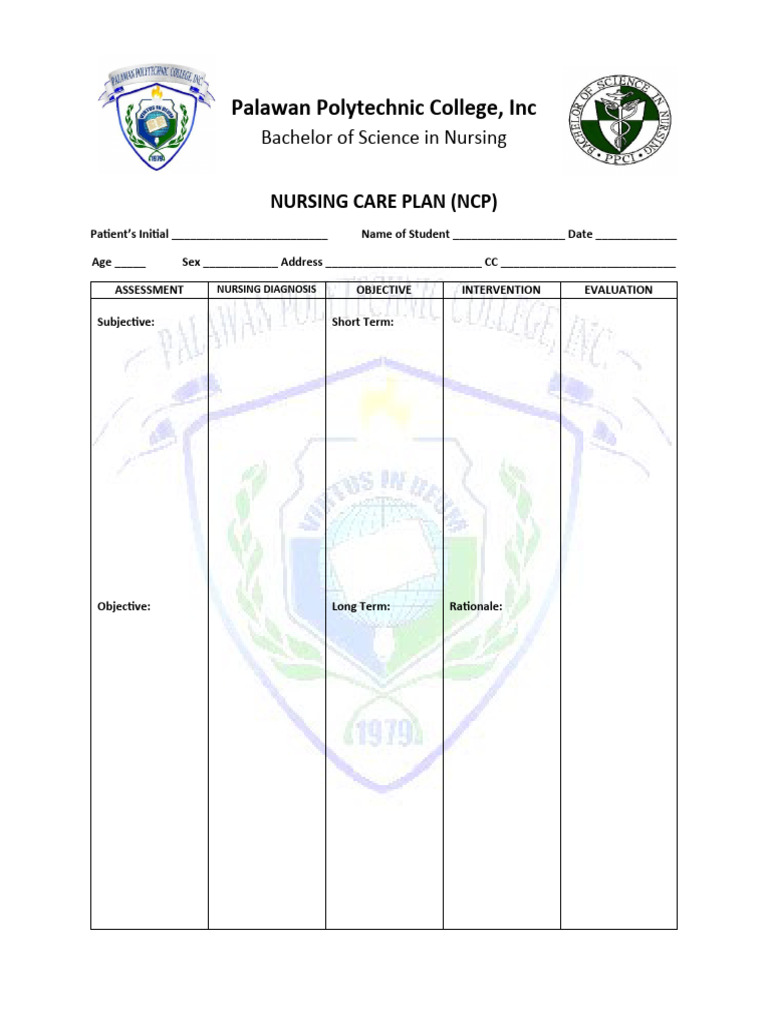 Nursing Care Plan Template Guide | PDF