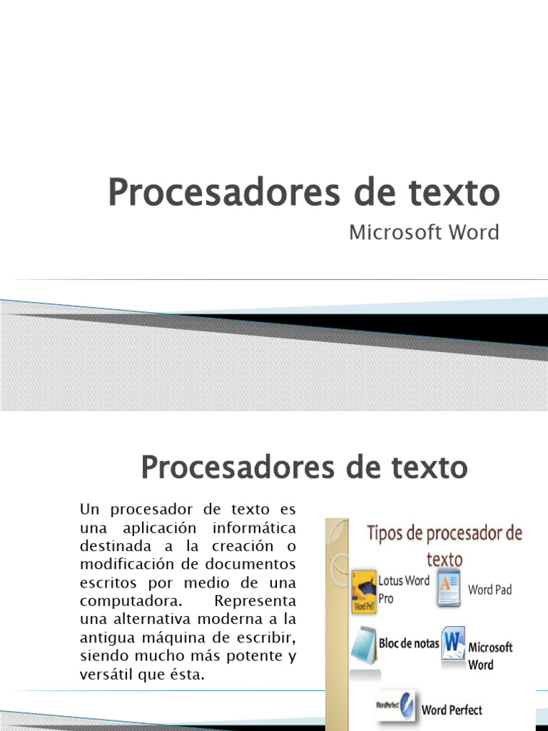 Procesador de Textos | PDF | Procesador de textos | Microsoft Word