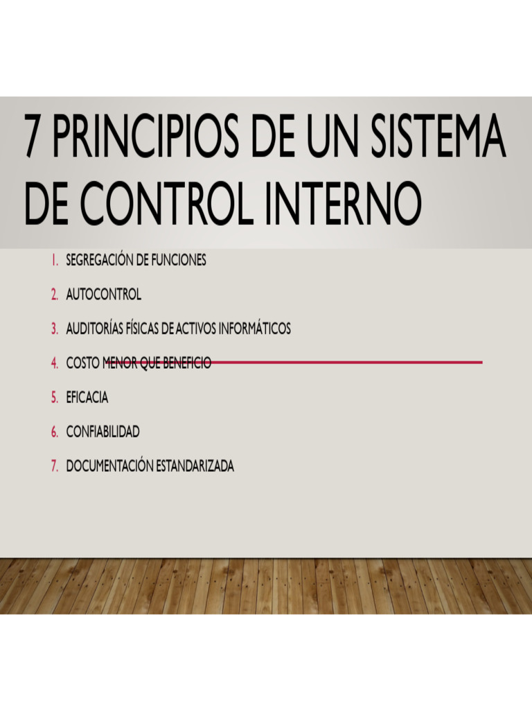 7 PRINCIPIOS DE UN SISTEMA DE CONTROL INTERNO | PDF | Informática