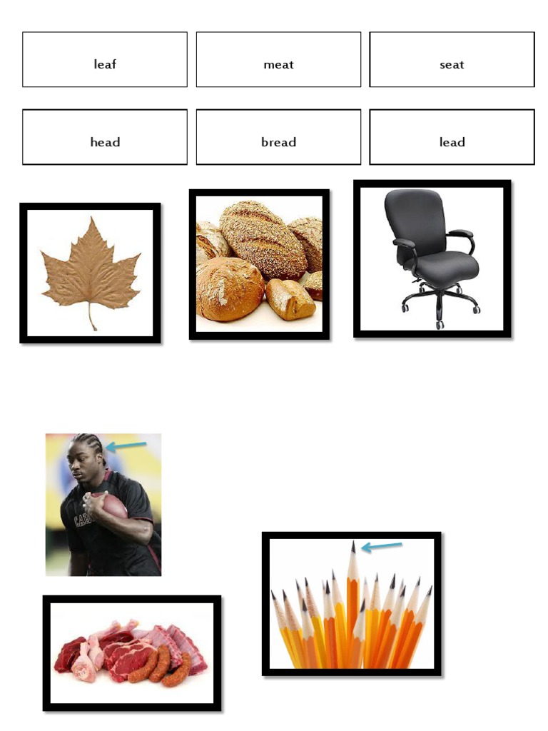 Seat Meat Leaf | PDF