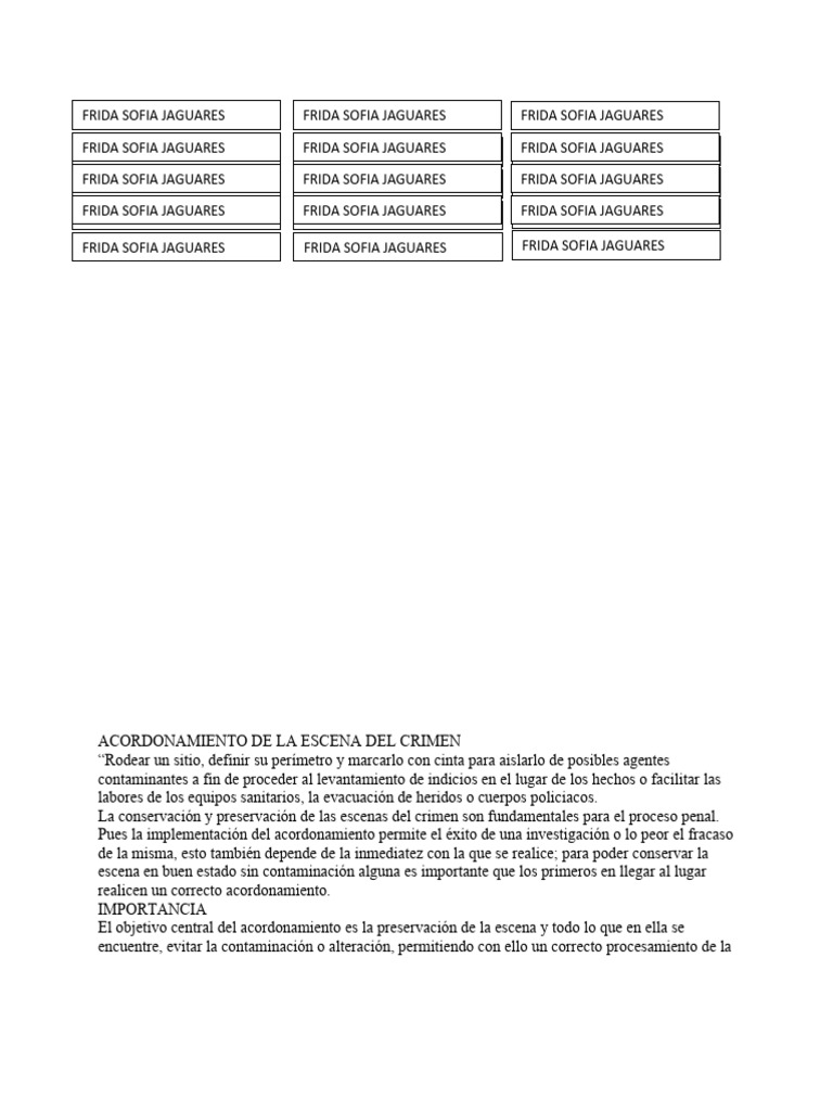Acordonamiento de La Escena Del Crimen | PDF