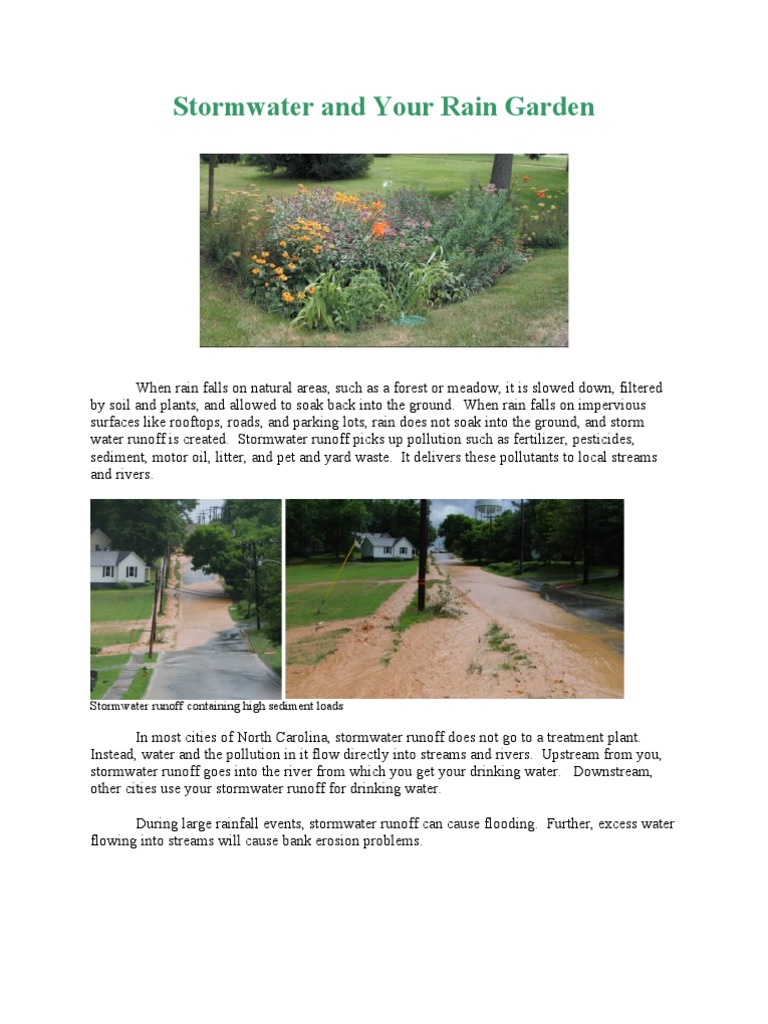 Stormwater and Your Rain Garden | PDF | Stormwater | Surface Runoff