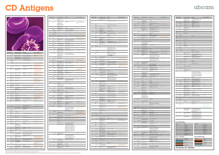 Overview of CD Antigens and Functions | PDF | T Cell | B Cell