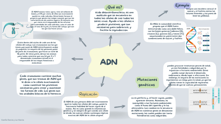 Blue and Grey Illustrative Creative Mind Map - 20240507 - 135745 - 0000 | PDF | Adn | Gene