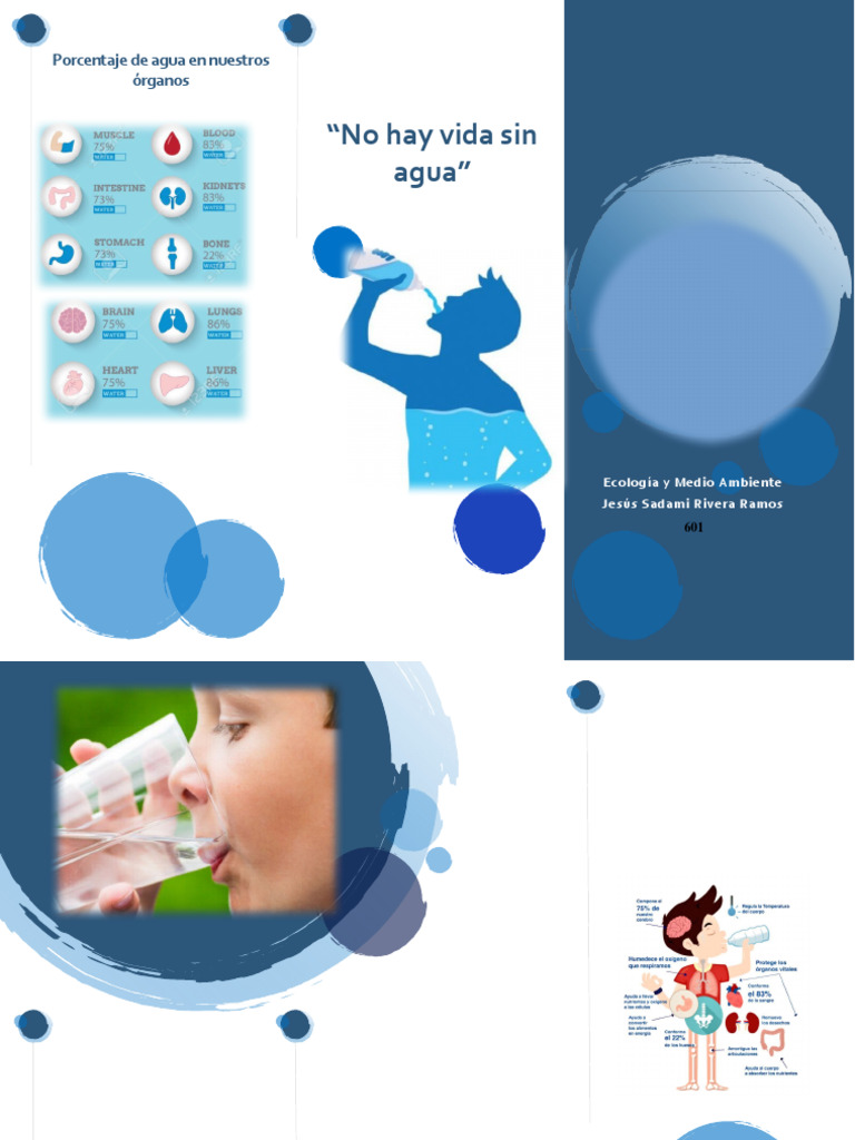 Triptico Del Agua Sadami | PDF