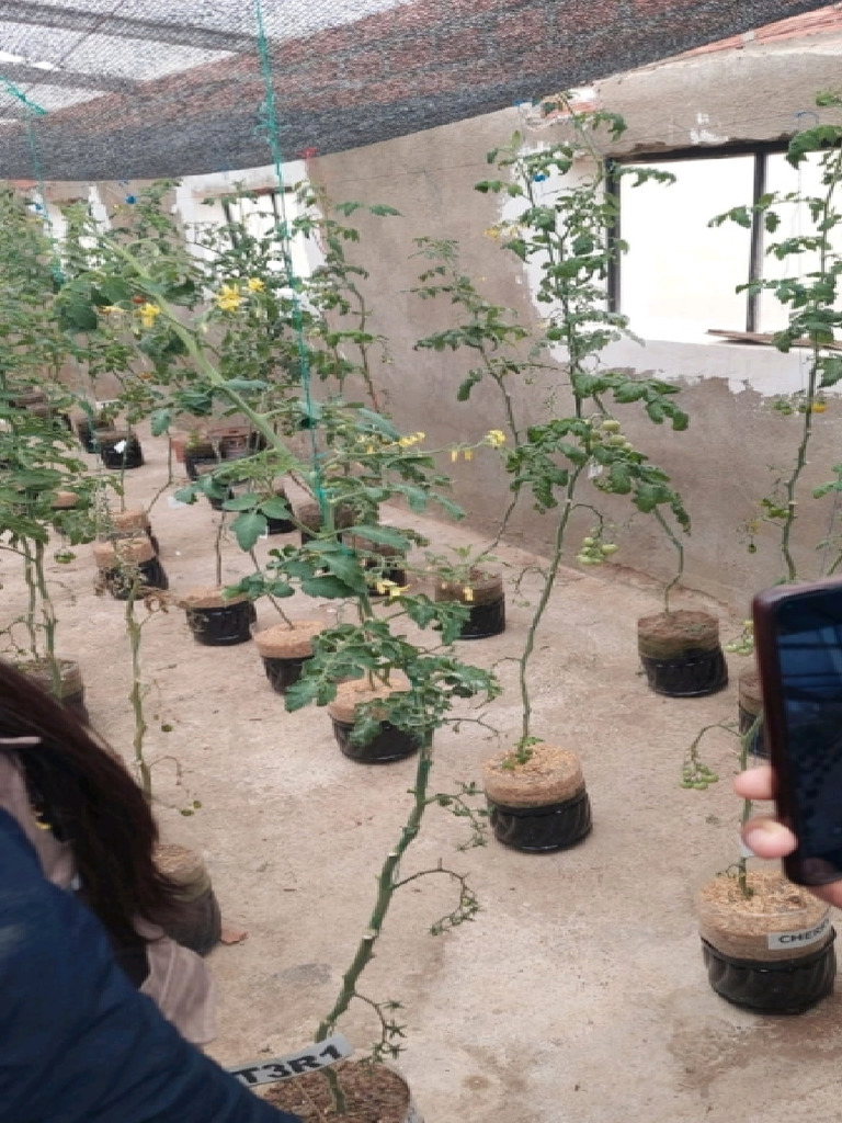 Fotos de Tropi | PDF