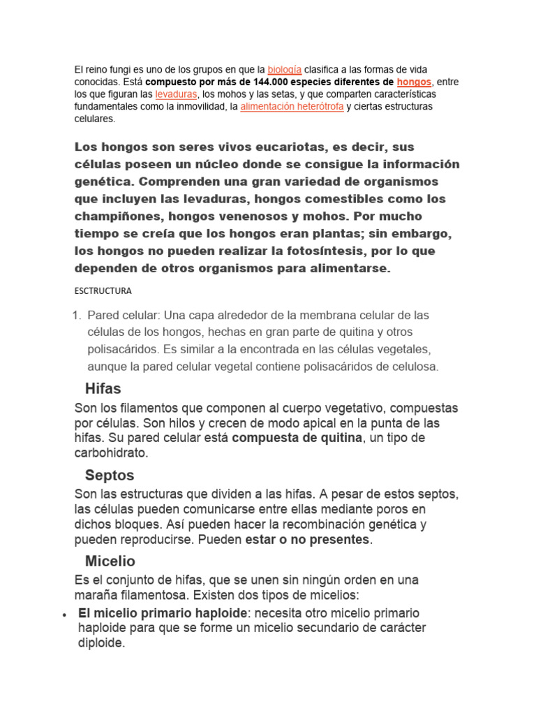 Reino Fungi | PDF | Hongo | Biología Celular)