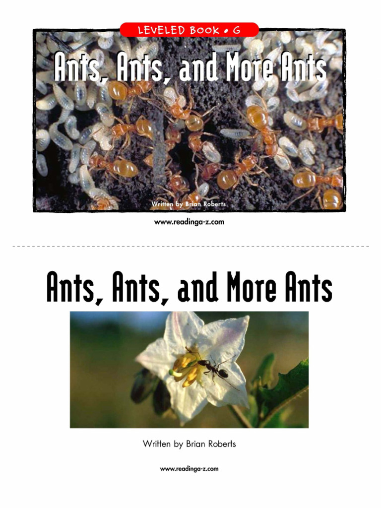 G05 - Ants, Ants, and More Ants | PDF